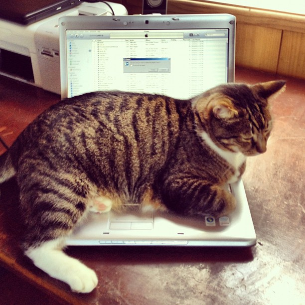 No Computer Day – Accidentally in Code